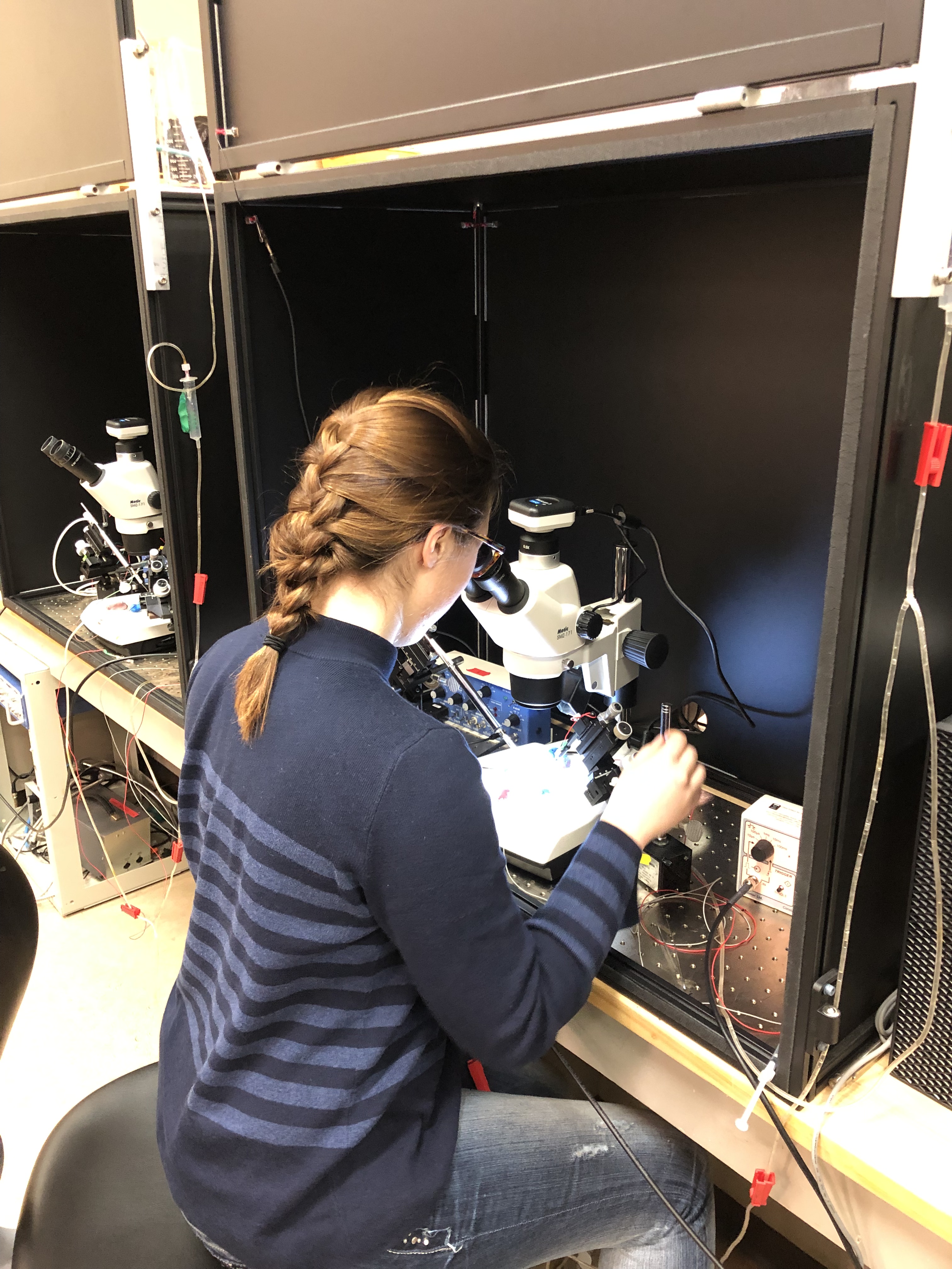 Teaching – Watt Lab